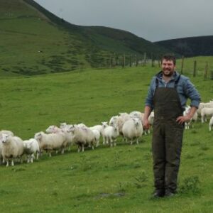Aberhosan farmer future proofs his farm with better genetics and ...