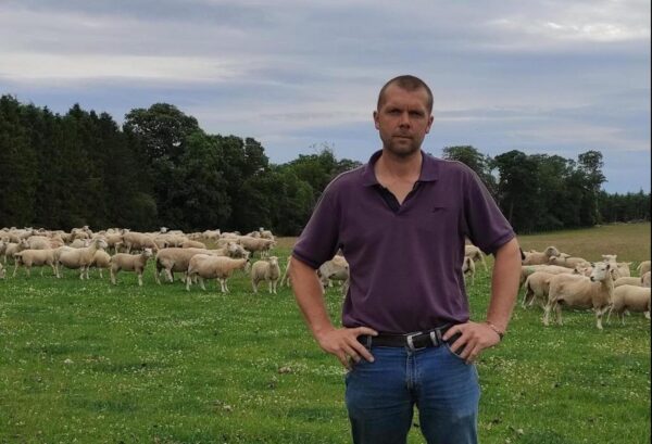 Northumberland Estate maximising performance from homegrown forage ...