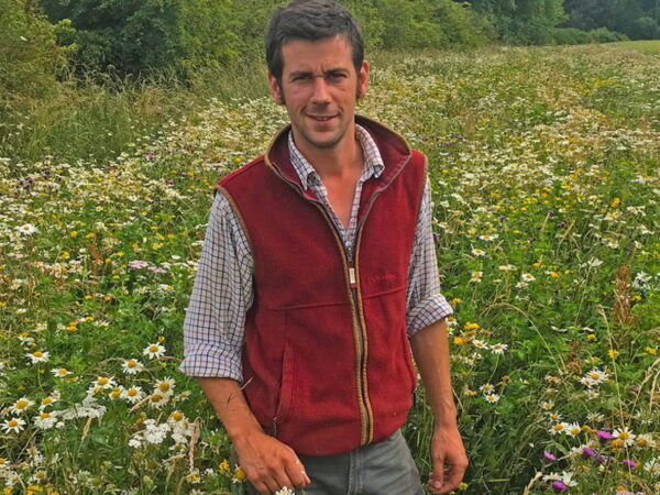 Regenerative Sheep Farming | Low Carbon Sheep Breeds