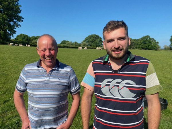 Innovis Breeding Sheep Blog | UK Sheep Industry News