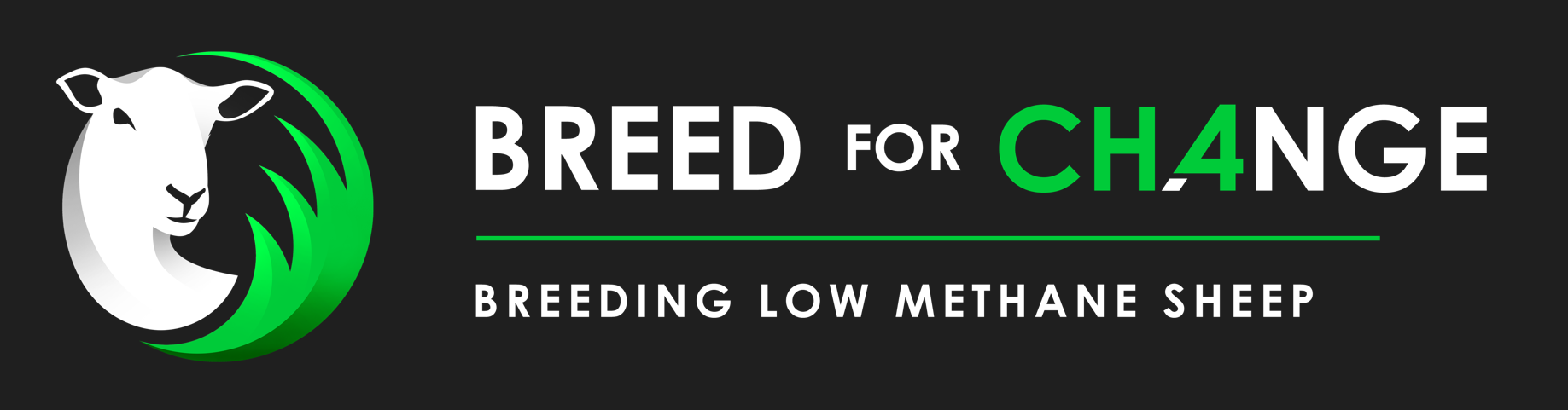 Defra announces £2.9m funding to breed low methane sheep - Innovis