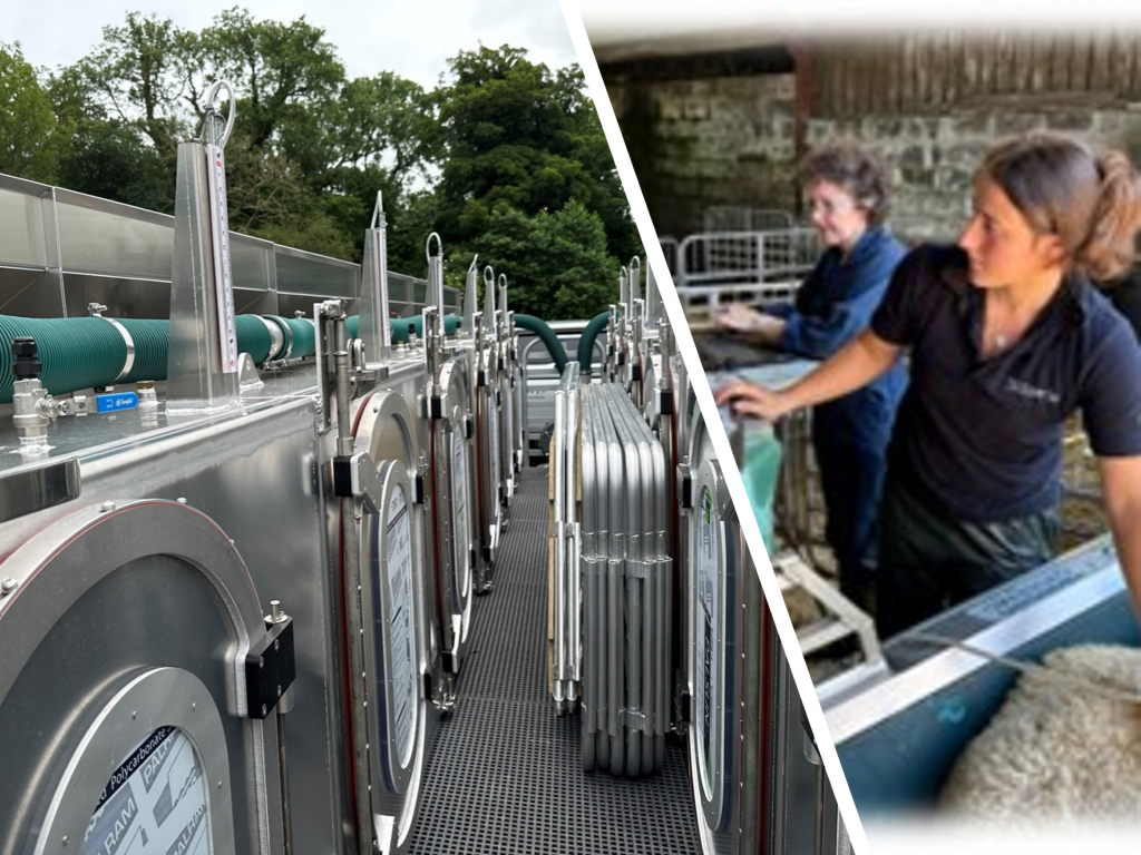 Sheep Technician -Aberystwyth - Innovis