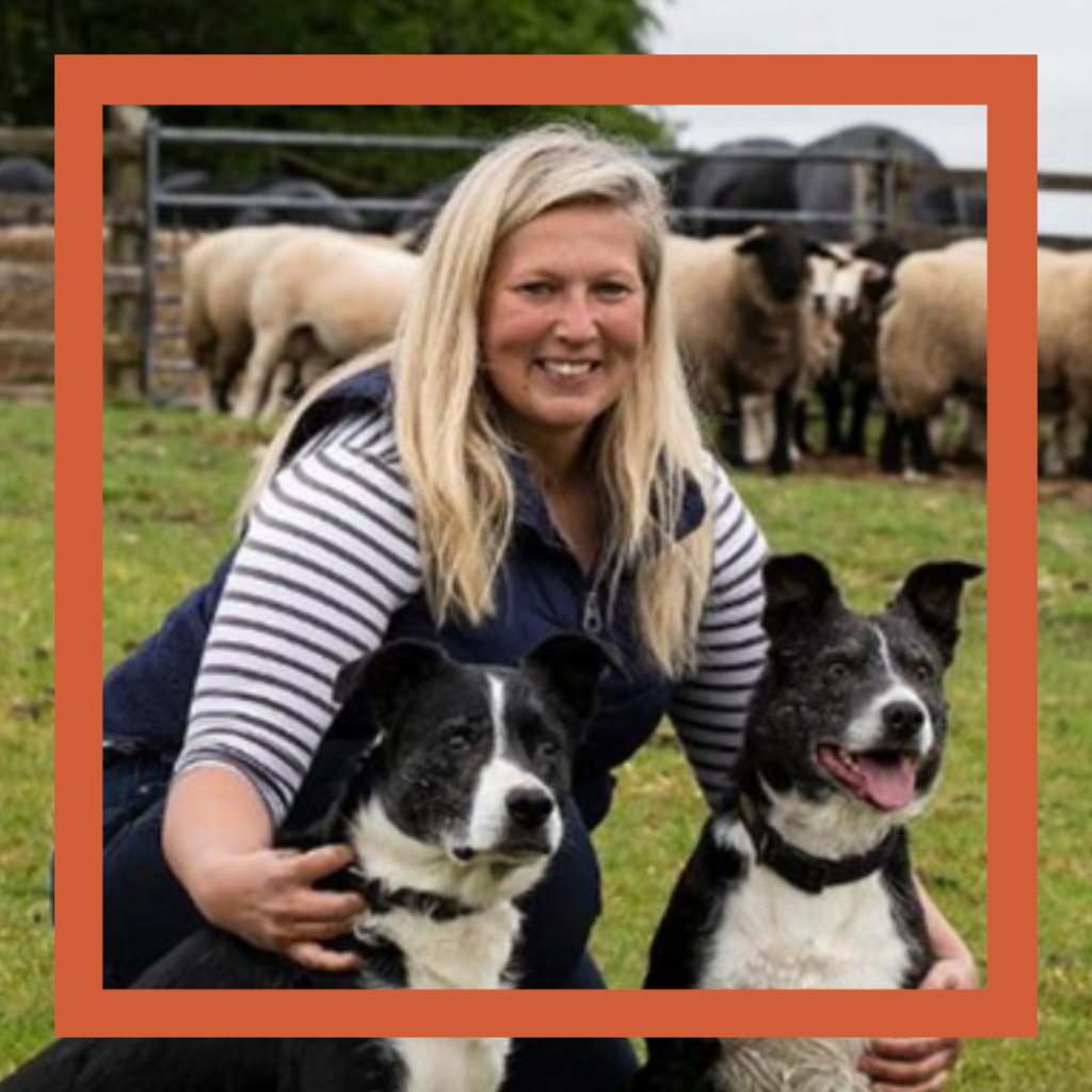 North of England & Scottish Borders - Innovis