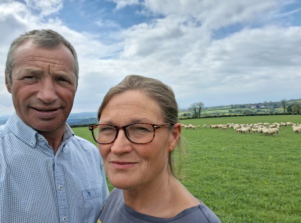 Devon farm maximises kilos of lamb produced per acre with Innovis ...